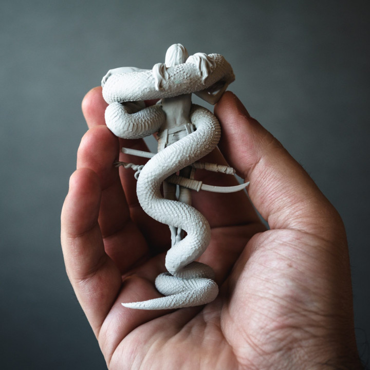 3D Printable boa. by bold miniatures