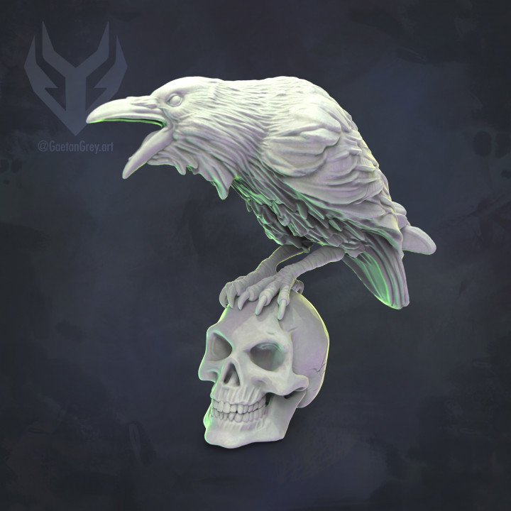 3D Printable Raven Skull - Miniature by Grinning God