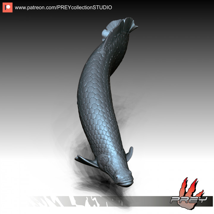 3D Printable ARAPAIMA by Alex