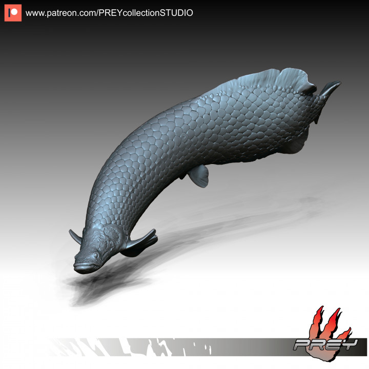 3D Printable ARAPAIMA by Alex