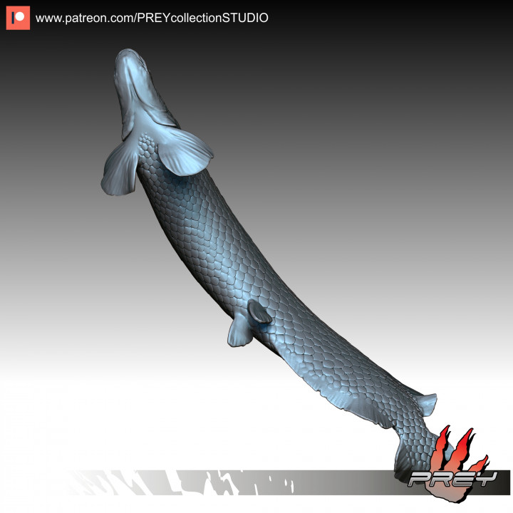 3D Printable ARAPAIMA by Alex