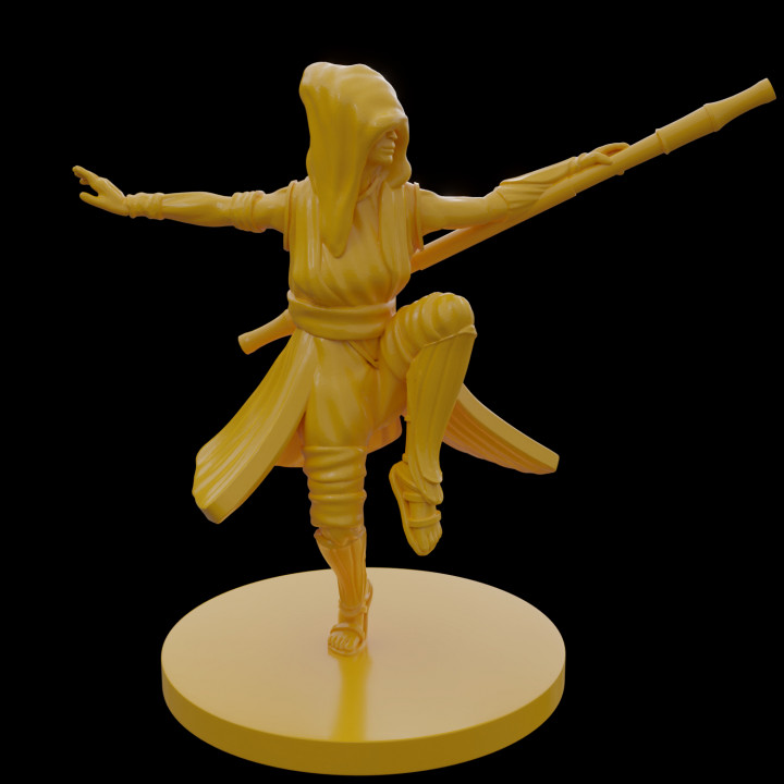 3D Printable Female Monk by YourNeighborKnight Minis