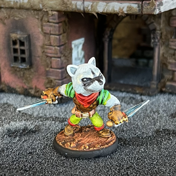 3D Print of Raccoon Rogue (pre-supported) by ToyGameFan