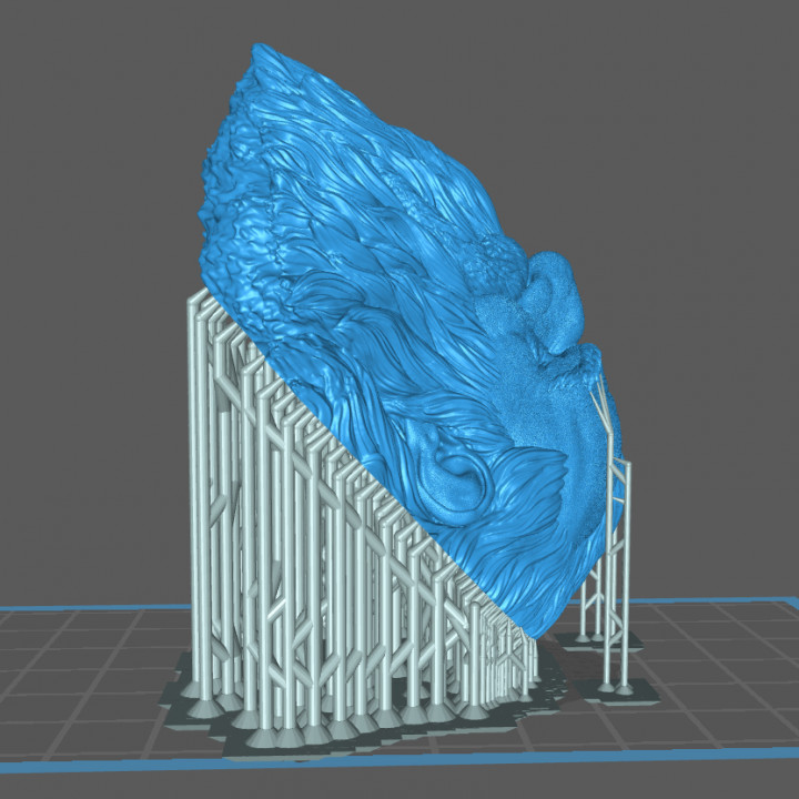 3D Printable Dwarf Trophy Head by Fynn Große-Bley