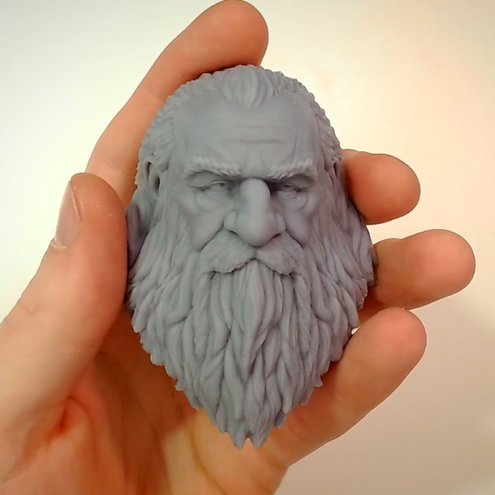 3D Printable Dwarf Trophy Head by Fynn Große-Bley