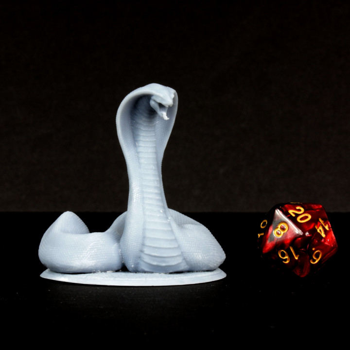 3D Printable Snake-folks-Cobra by clynche art