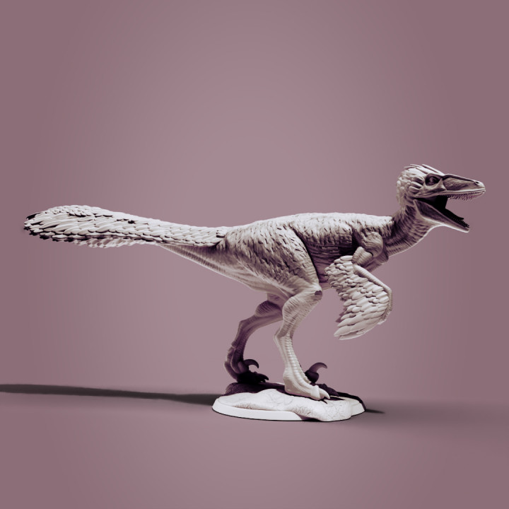 3D Printable Feathered Utahraptor by clynche art