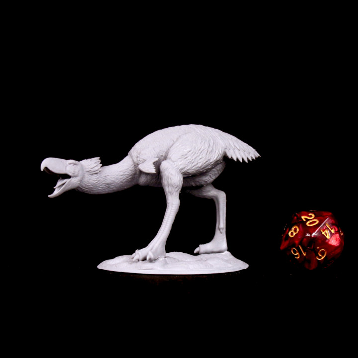 3D Printable Kelenken 3 poses by clynche art
