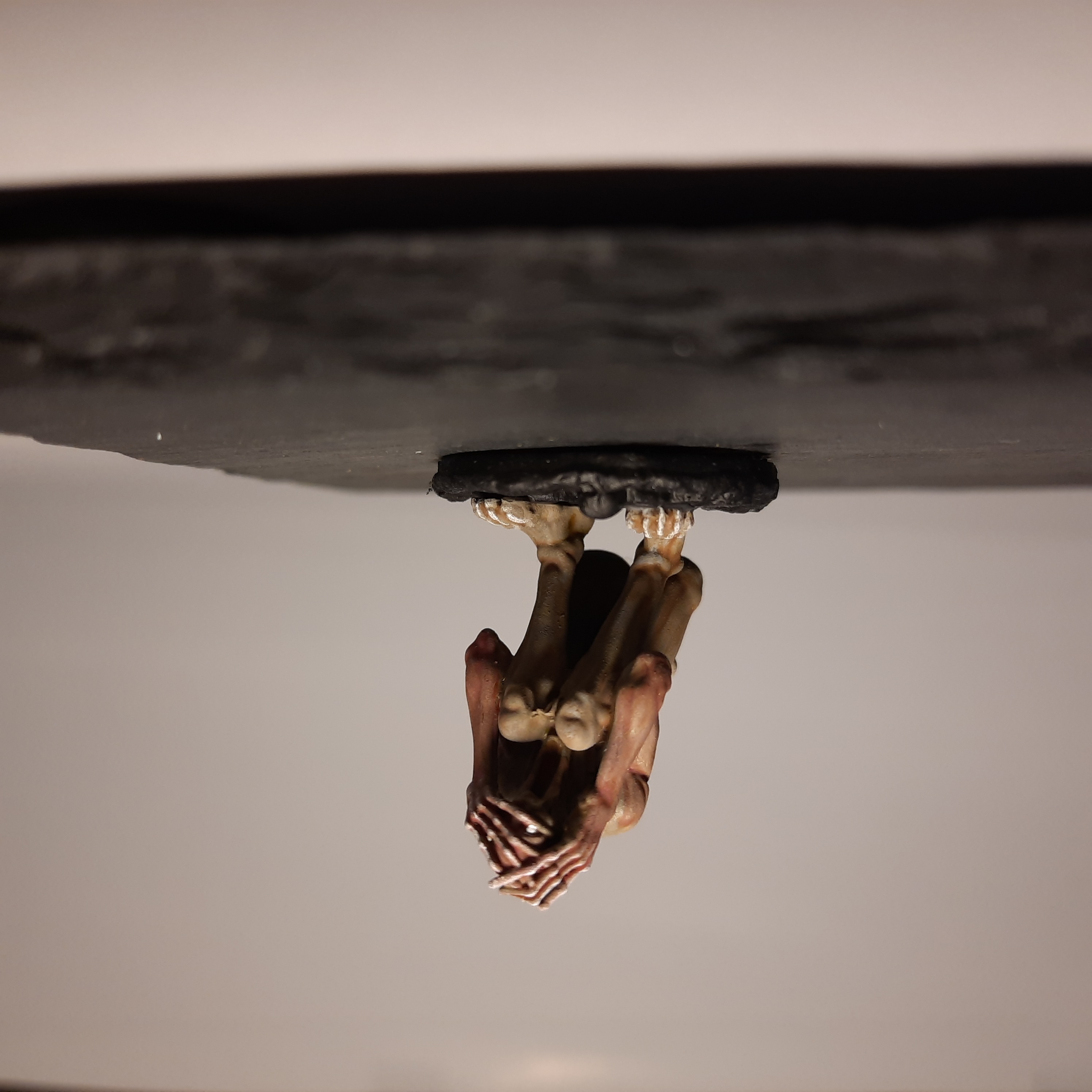 3D Printable Cryptid & Skin Walkers - 10 Models with stats and ...