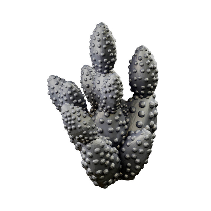 3D Printable Desert cactus set and scatter terrain for tabletop games ...