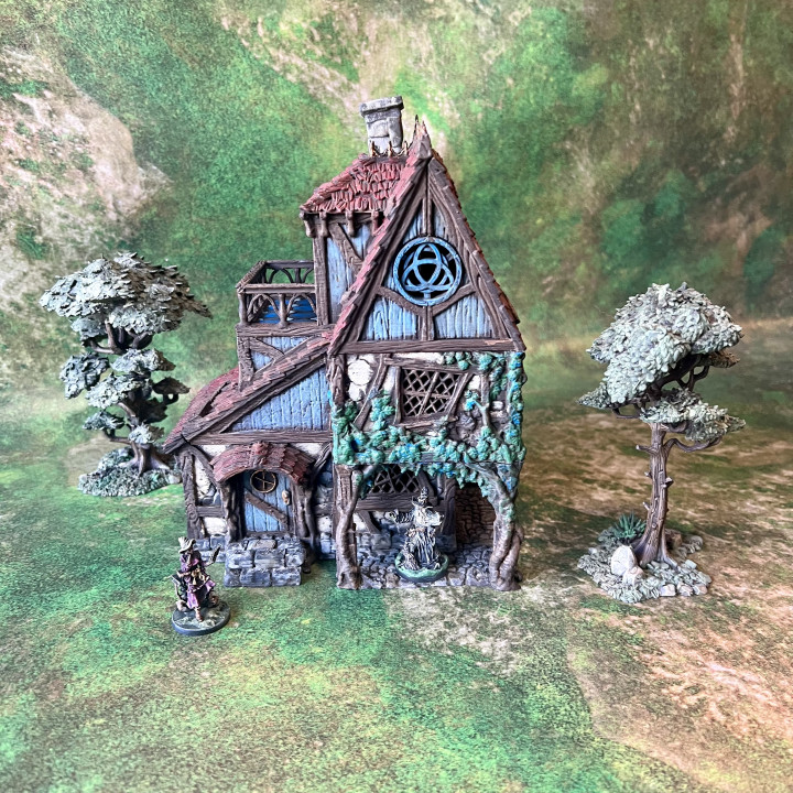3D Printable Healer's house by Black Scrolls Games