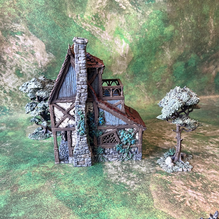 3D Printable Healer's house by Black Scrolls Games