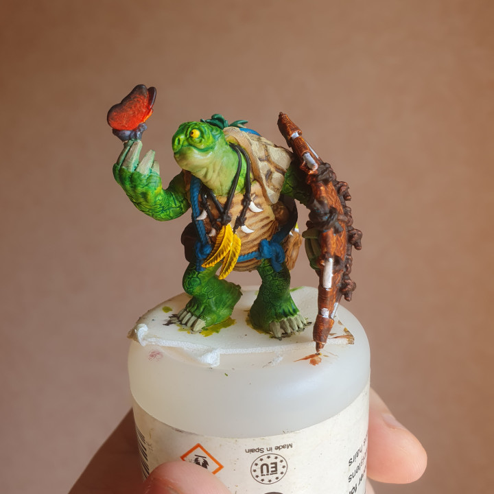 3D Print of Turtle-Folk Druid by valeriiriabovskivbard