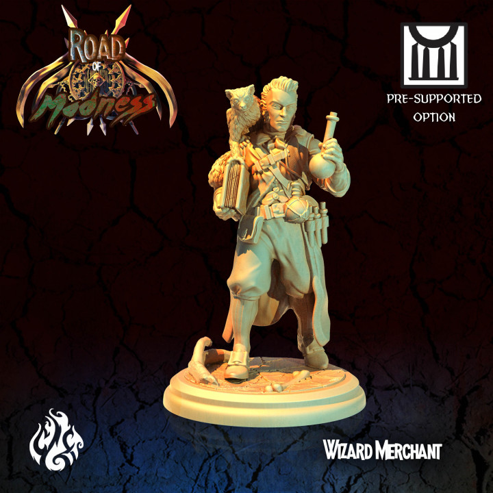 3D Printable Wizard Merchant by Crippled God Foundry