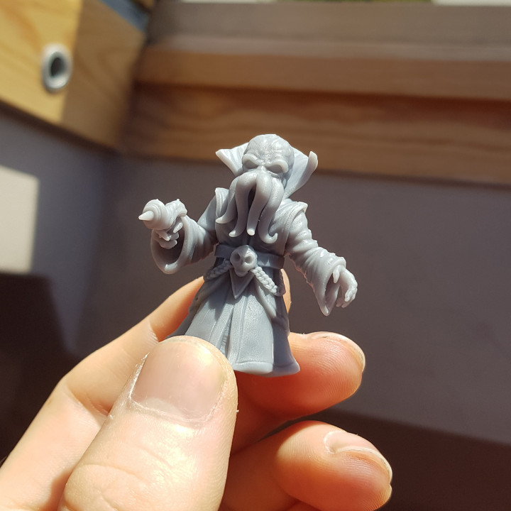 3D Printable Morphed gnome (supported) by Cursed Forge Miniatures