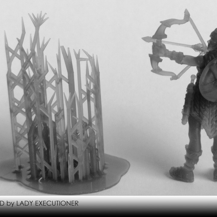 3D Printable Otrera, the Amazon queen by Games Mythology