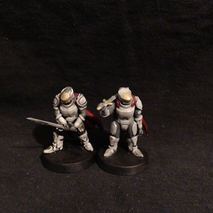 3D Printable (Mercy's Reach) Blade Master - Plow Stance by Studio Sol Union