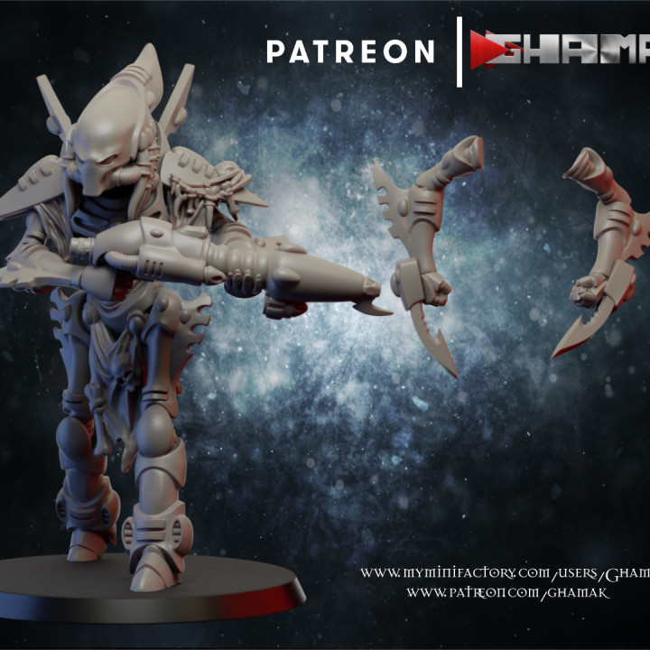 3D Printable Space Elves wraith 1 support ready by Ghamak