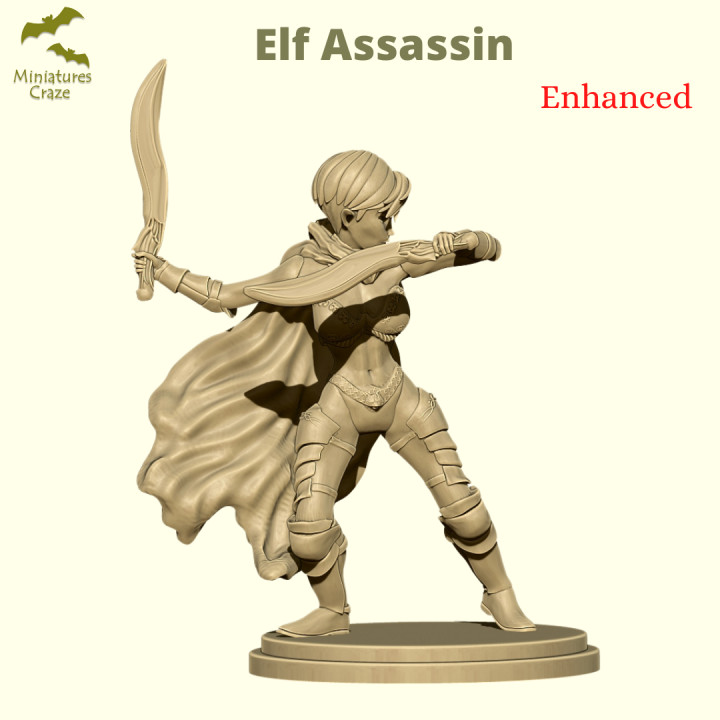 3D Printable Elf Assassin by MiniaturesCraze