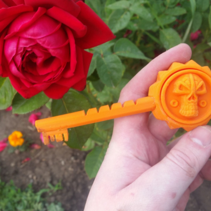 3D Printable Pirate key by Haridon
