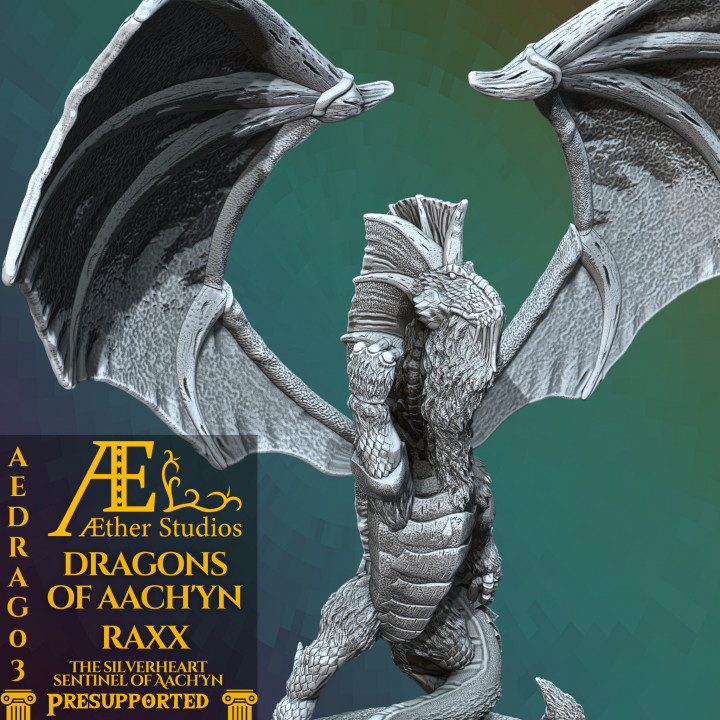 3D Printable AEDRAG03 - Raxx by Aether Studios