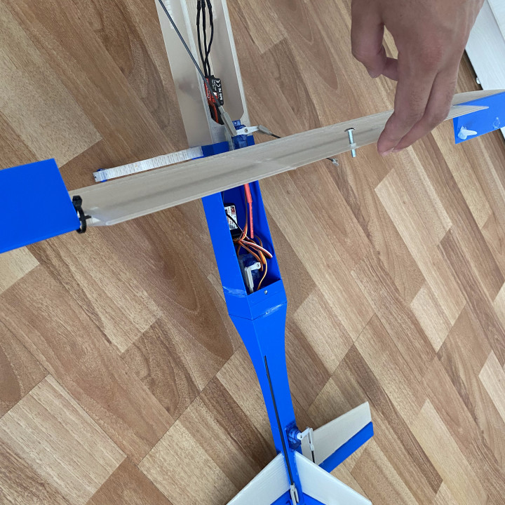 3D Printable 3D Printable RC Plane BowerBird by Dogan Akın