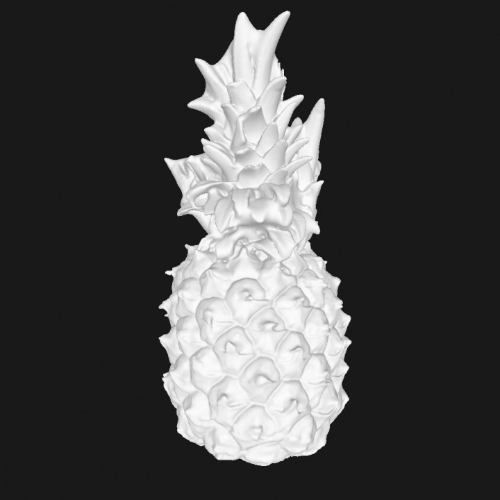3D Printable Pineapple（generated by revopoint pop） by Revopoint3D