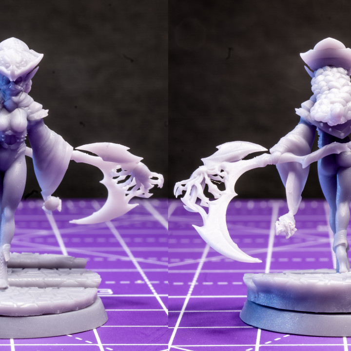 3D Printable Drow Reaper Pose 1 - Includes 2 Variations + Pinup by ...