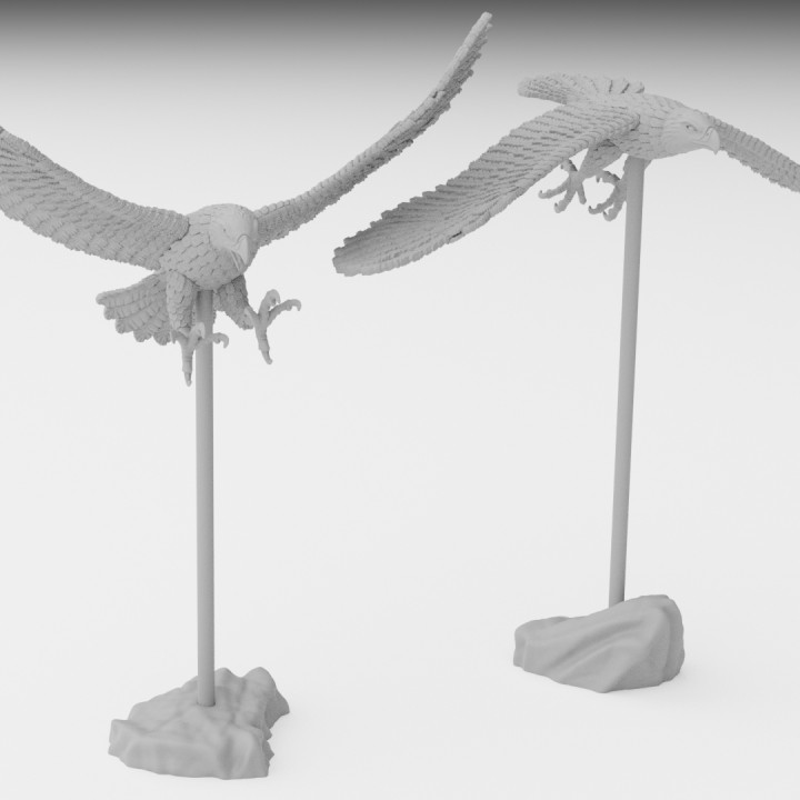 3D Printable Giant Eagle Miniatures (28mm, modular) by Juhász Gergely