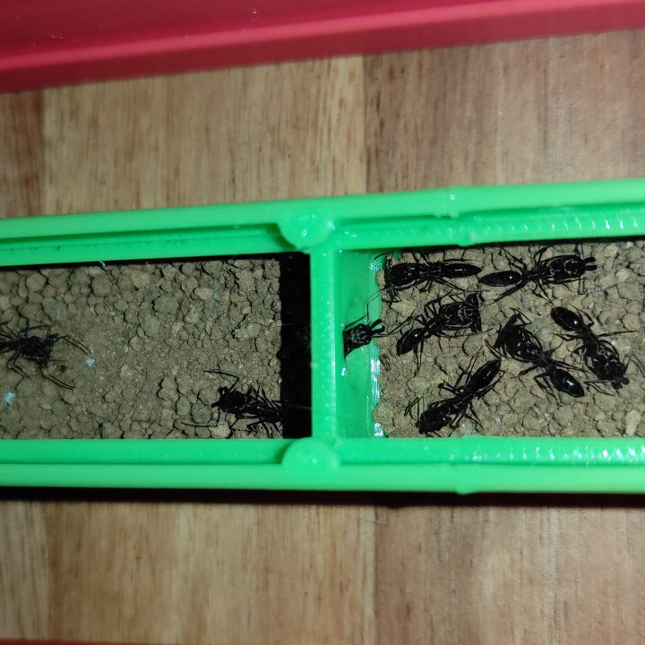 3D Printable Bamboo Ant nest by TaMan Thanawat