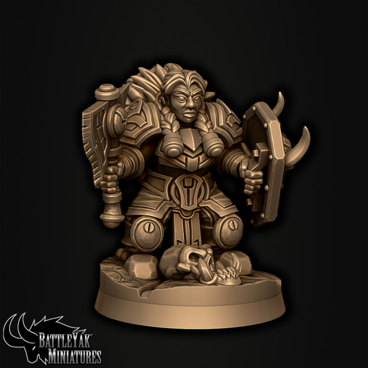 3D Printable Frostforge Battle-Damsel A by Battle Yak Miniatures
