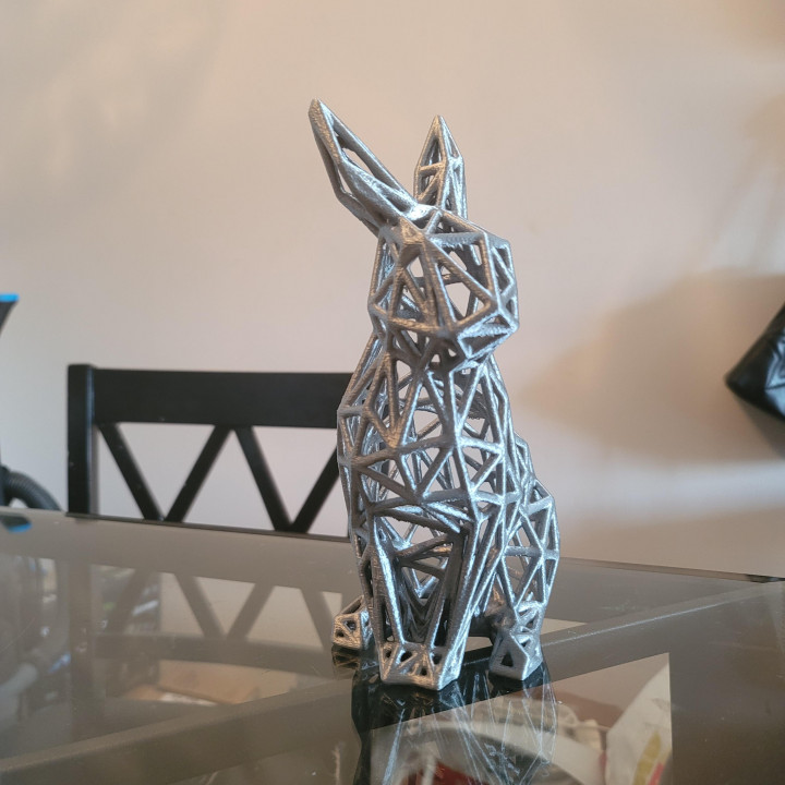 3D Printable Wireframe Bunny Statue by James Sowin