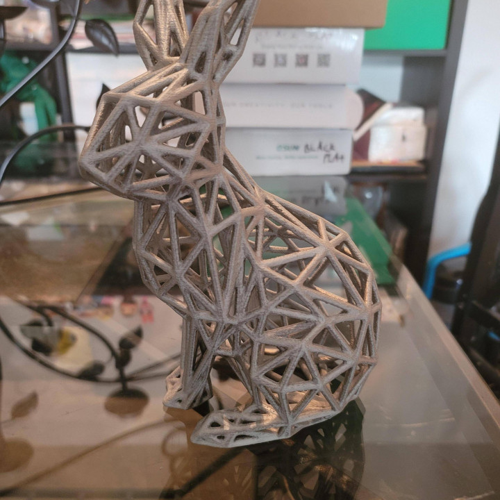 3D Printable Wireframe Bunny Statue by James Sowin