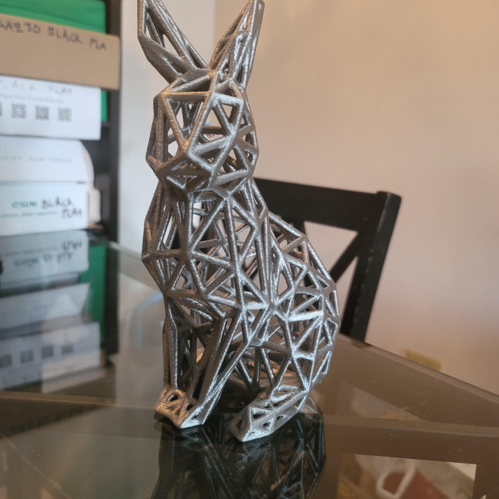 3D Printable Wireframe Bunny Statue by James Sowin