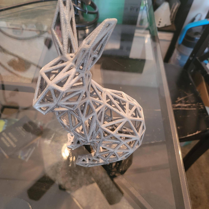 3D Printable Wireframe Bunny Statue by James Sowin