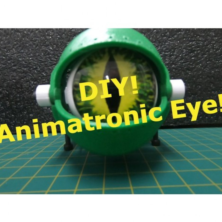 3D Printable Animatronic Eye by Flavio Hendrikx