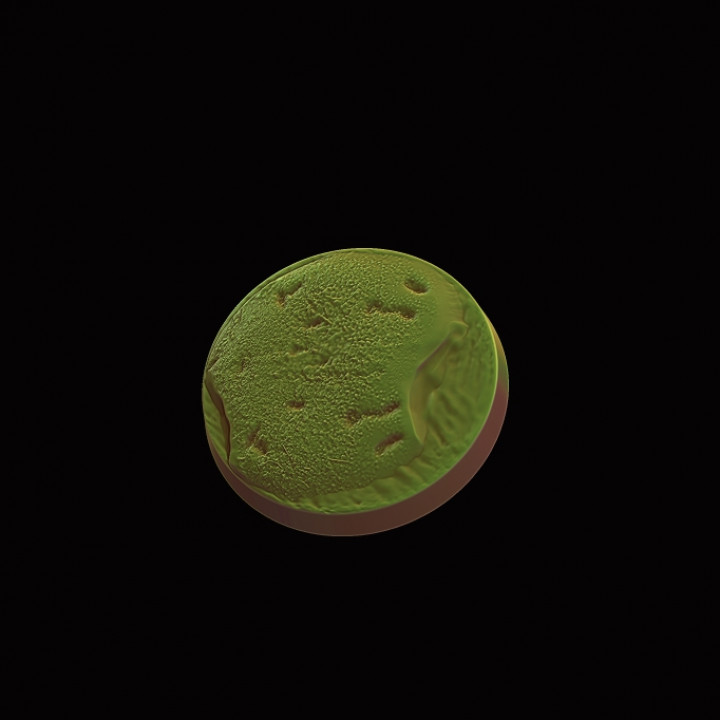 3D Printable Swamp Bases (15 stl files) by Admiral Apocalypse