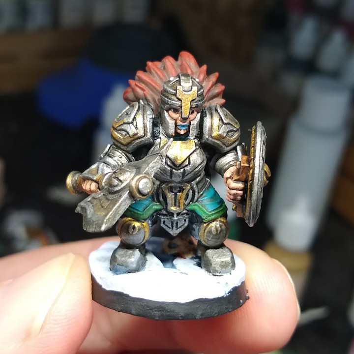 3D Print of Frostforge Battle-Damsel Pack by Alric