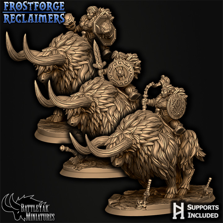 3D Printable Frostforge Shield-Maiden Pack by Battle Yak Miniatures