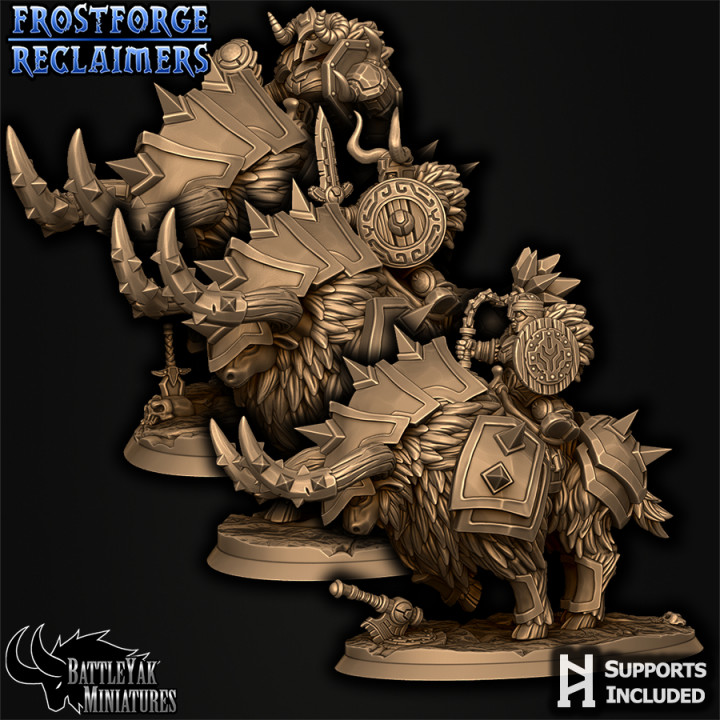 3D Printable Frostforge Shield-Maiden Pack by Battle Yak Miniatures