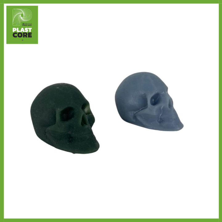 3D Printable Skull - Board Game Resource Token by Plastcore3D