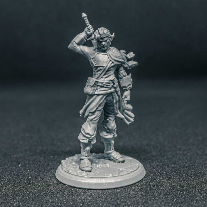 3D Printable Cedric Liarel - Drow Swordsman by Flesh of Gods