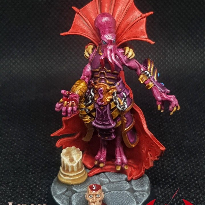 3D Printable Squidman Arcanist by Across the Realms