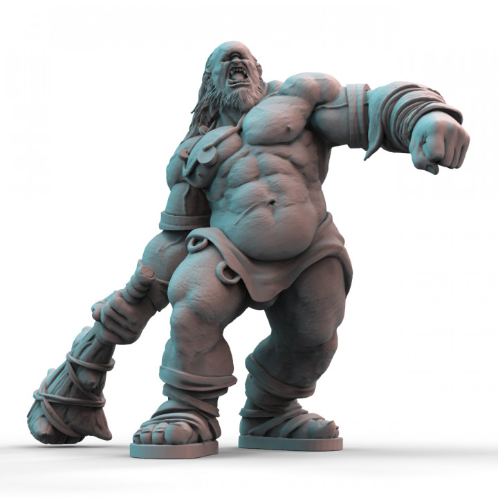 3D Printable Monster Encounter - Cyclops (pre-supported) by Blue Giant ...