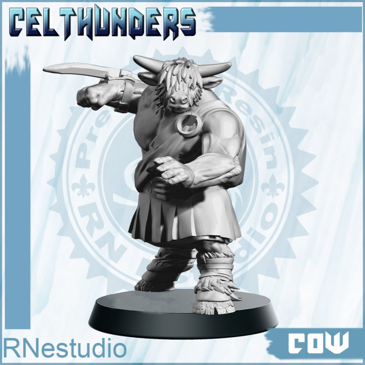 3D Printable 17 Cow Celthunders Fantasy Football 32mm by RN Estudio