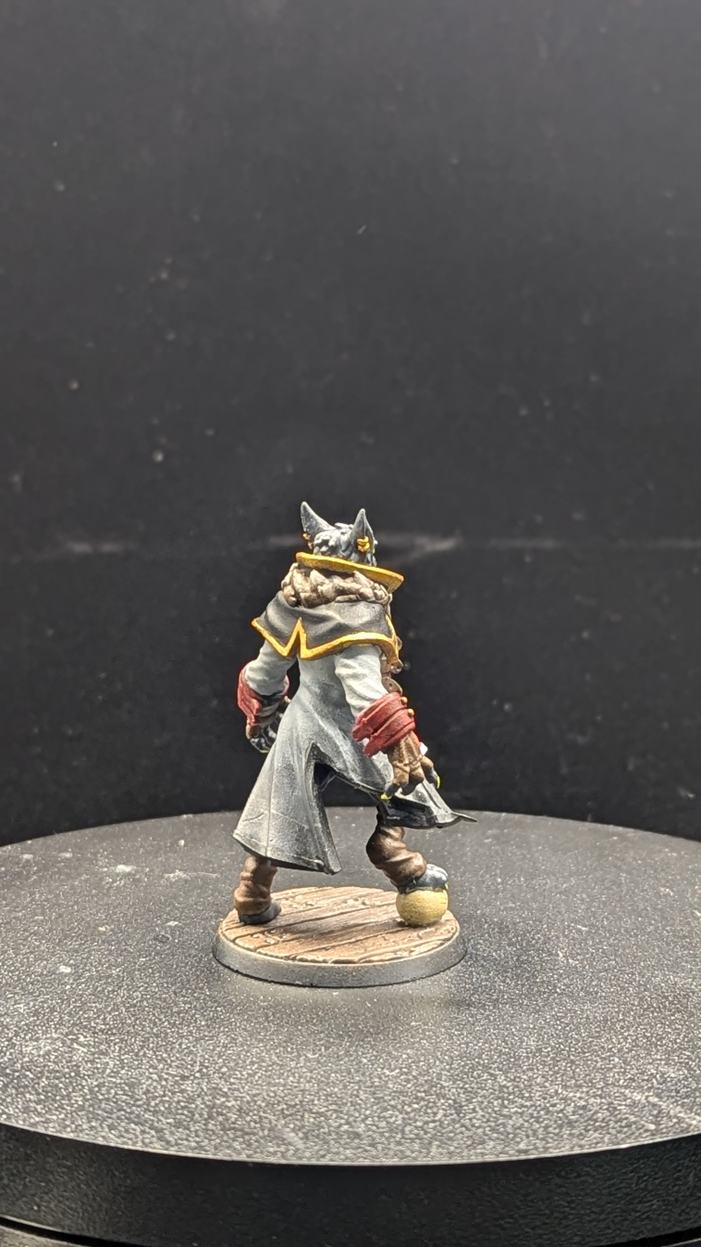 3D Printable Male Werewolf Pirate (PRESUPPORTED) by Velrock Art Miniatures