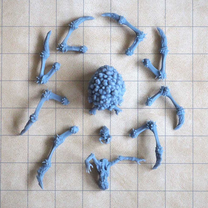 3D Printable Drider - Aranea by La Louve 3D