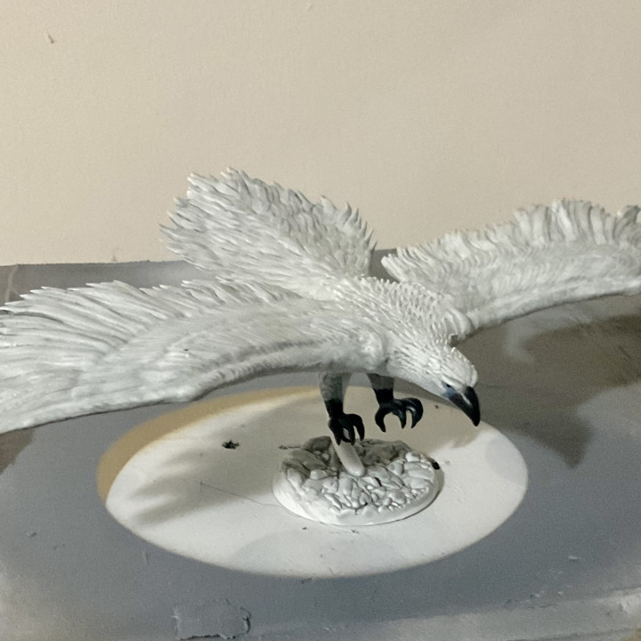 3D Print of Roc Updated by kennethmiddlebrough