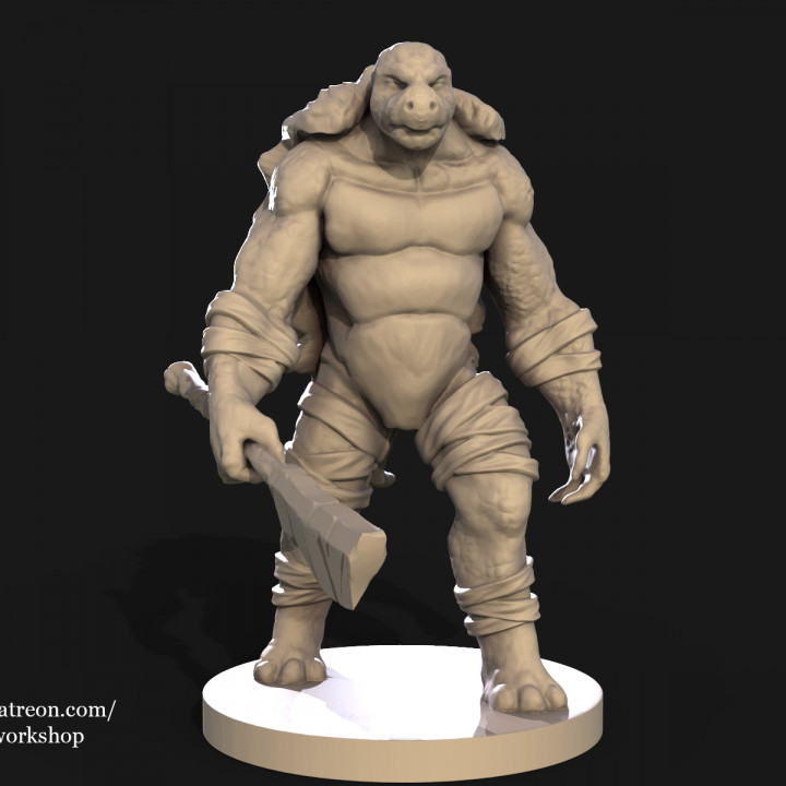 3D Printable Turtle by WarehouseWorkshop