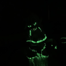 3D Printable Mario , Princess Boo by Gos3dart